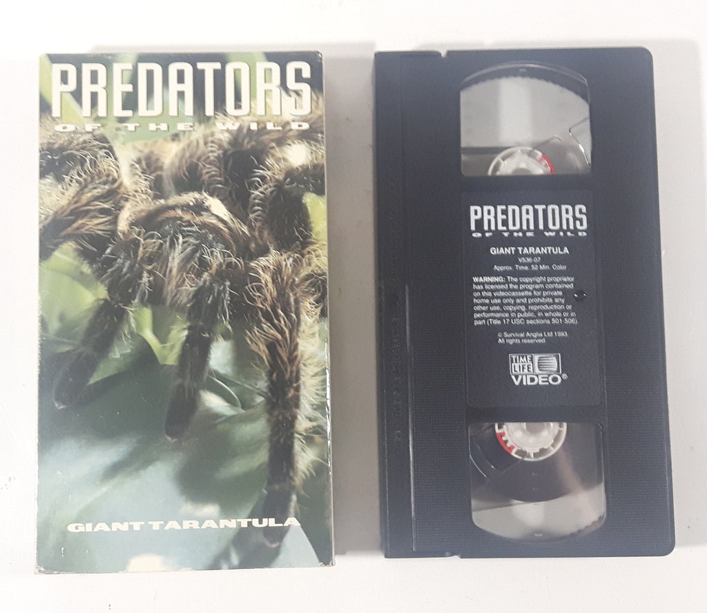 1993 Time Warner Presents Predators Of The Wild Giant Tarantula Movie – Treasure Valley Antiques ...