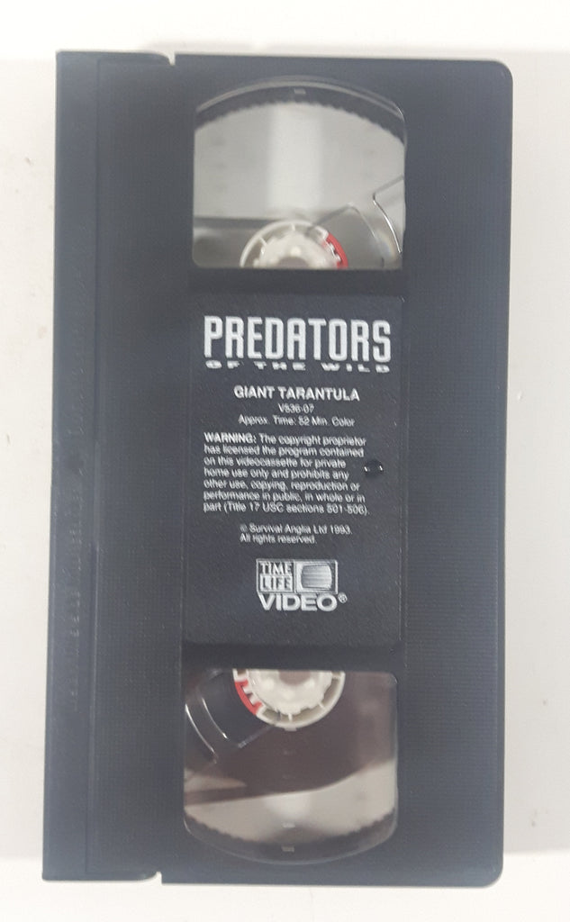 1993 Time Warner Presents Predators Of The Wild Giant Tarantula Movie – Treasure Valley Antiques ...