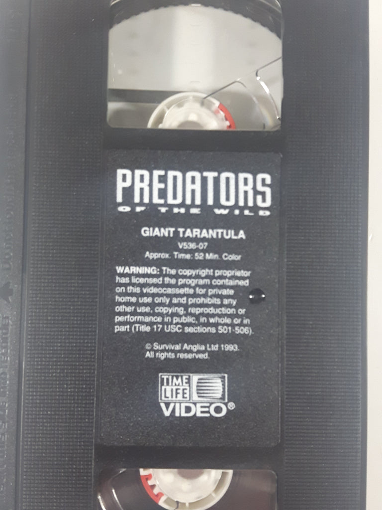 1993 Time Warner Presents Predators Of The Wild Giant Tarantula Movie – Treasure Valley Antiques ...