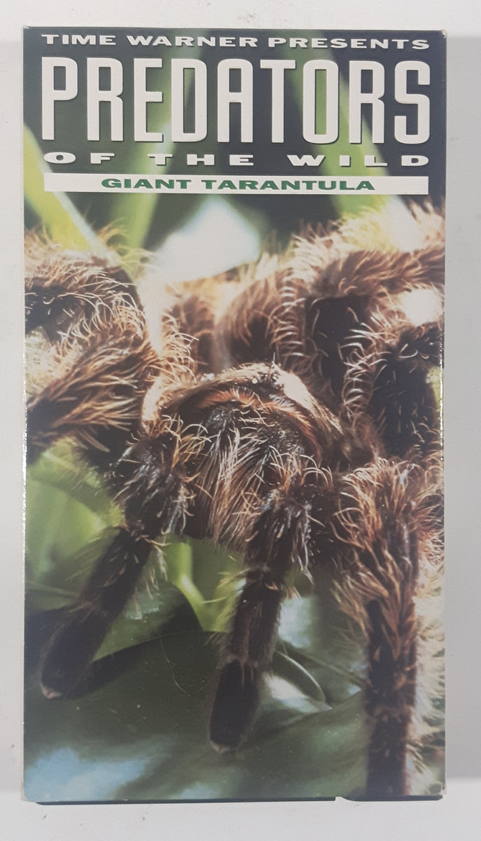 1994 Time Warner Presents Predators Of The Wild Giant Tarantula Movie ...