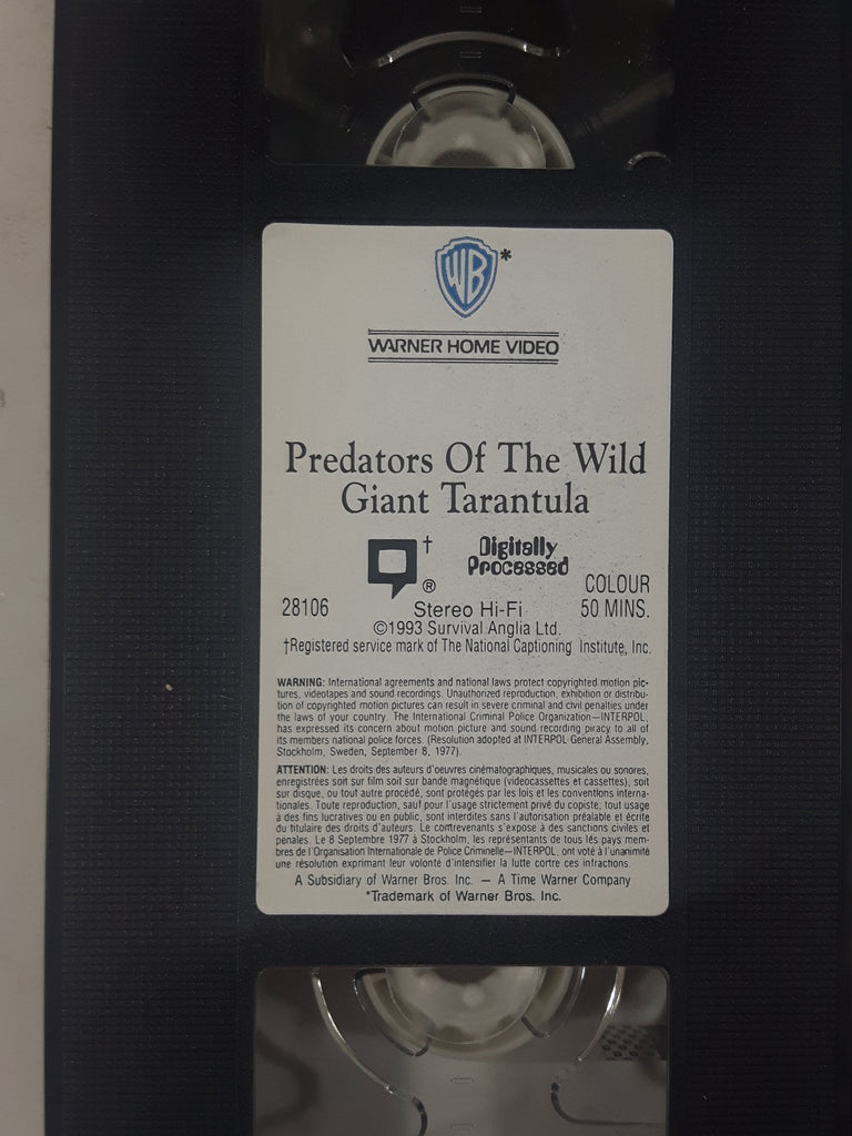 1994 Time Warner Presents Predators Of The Wild Giant Tarantula Movie – Treasure Valley Antiques ...