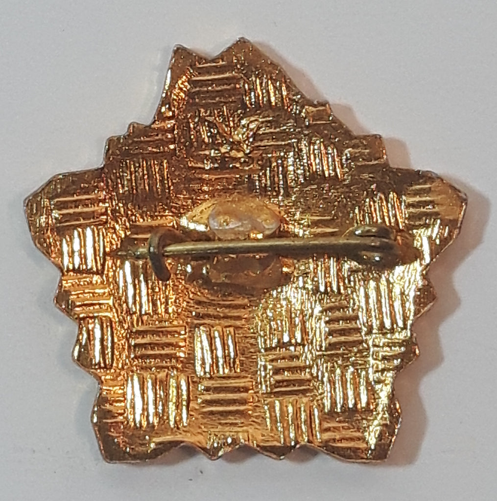 Vintage Soviet USSR Russia Lenin Young Pioneers Metal Pin Badge Insign ...