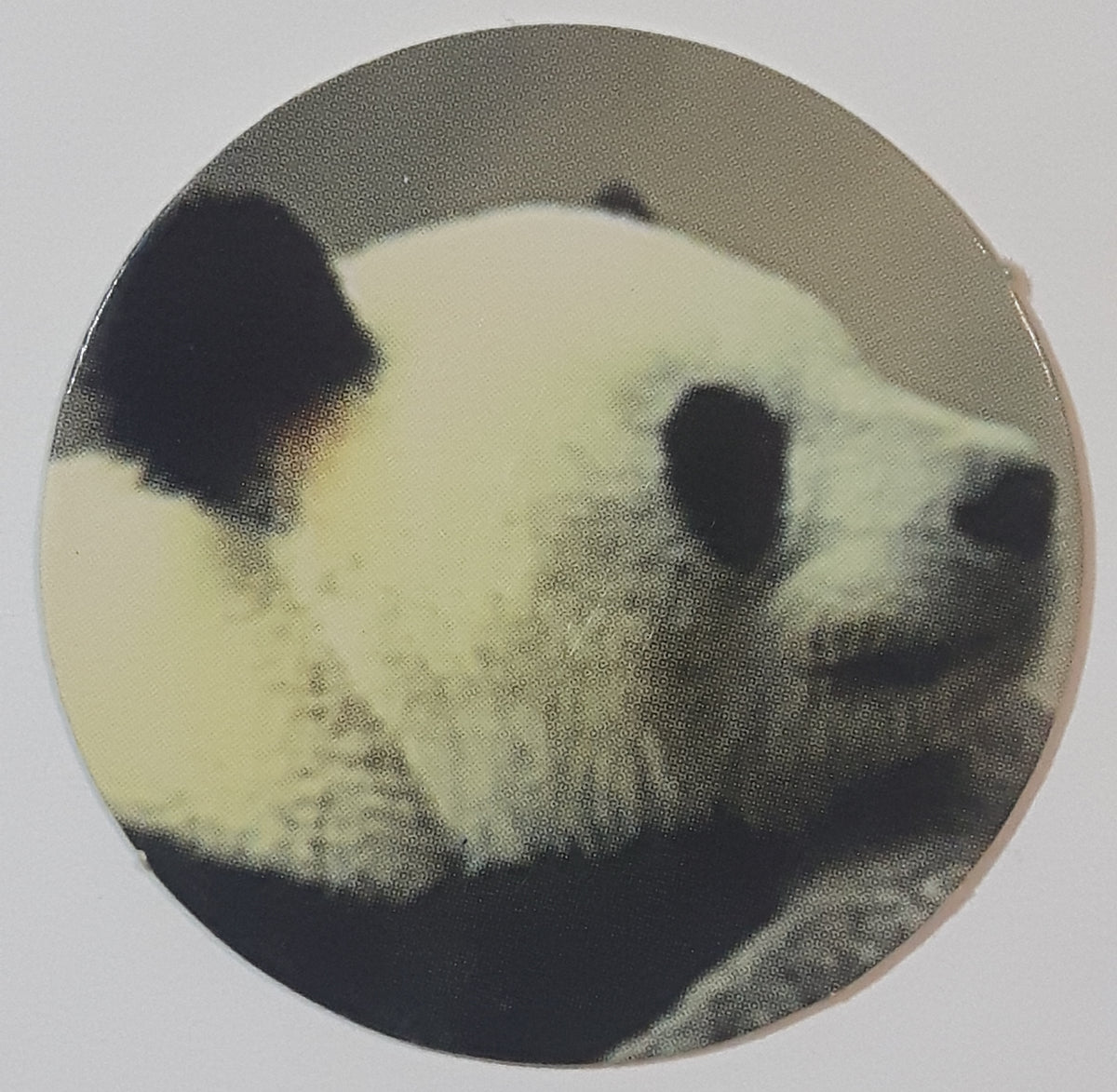 Collier's Magazine Panda Pog Cap – Treasure Valley Antiques & Collectibles