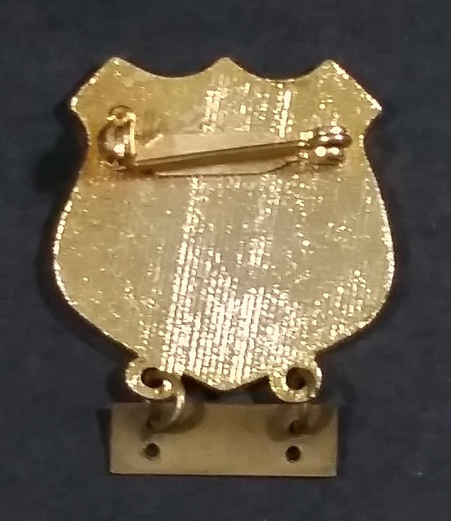 1977 PSIC Red Crest Enamel Ice Skating Pin – Treasure Valley Antiques ...