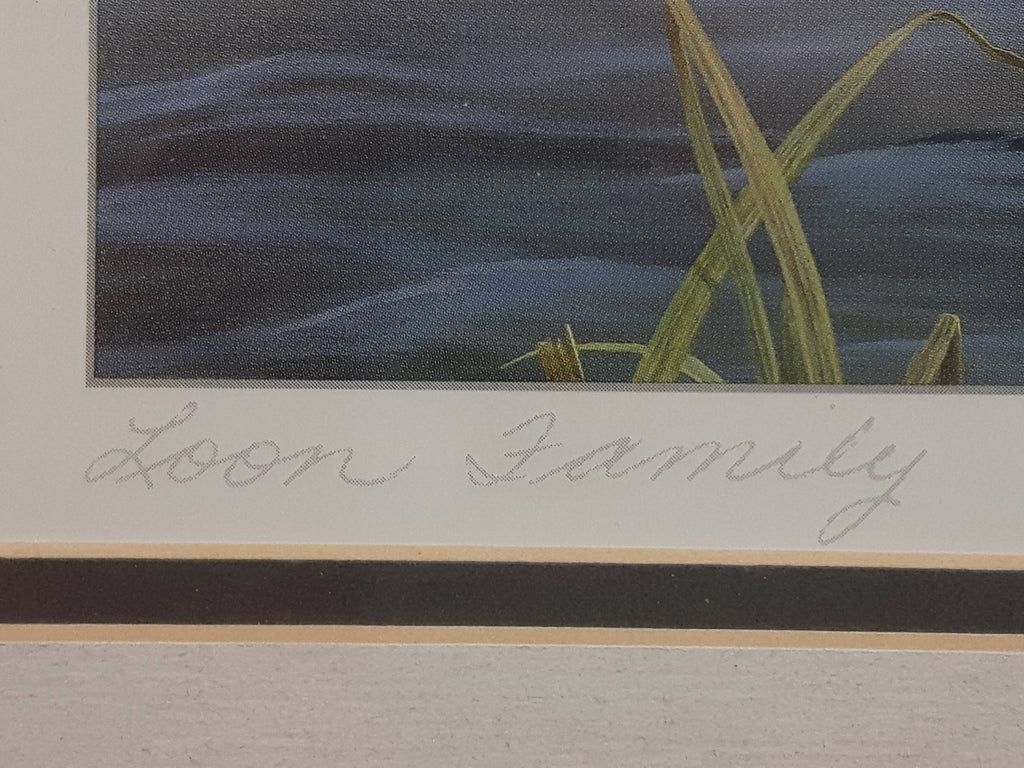 Luke Raffin "Loon Family" Painting Wildlife Art Print 11 3/4" x 14 3/4 ...