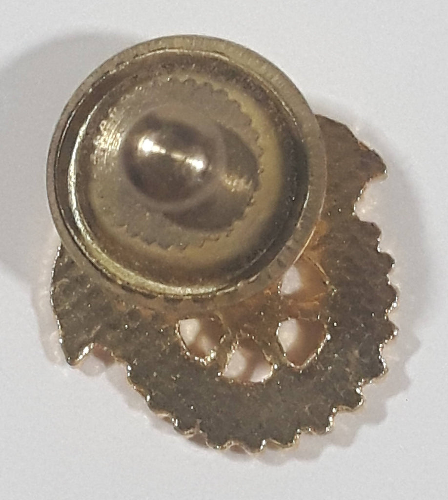 Rotary International Treasurer Small Enamel Metal Pin – Treasure Valley ...