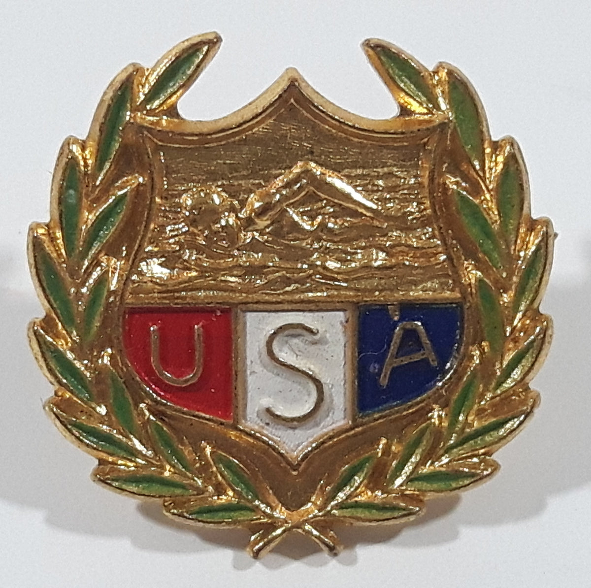 USA Swimming Team 3/4" x 3/4" Enamel Metal Lapel Pin – Treasure Valley ...