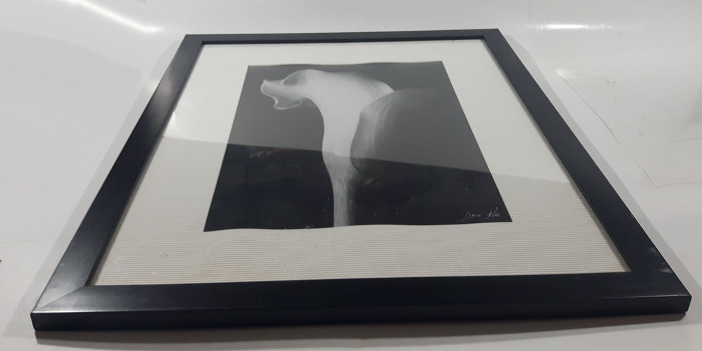 Arum Lily Flower by Bruce Rae 18" x 22" Framed Black and White Photogr ...