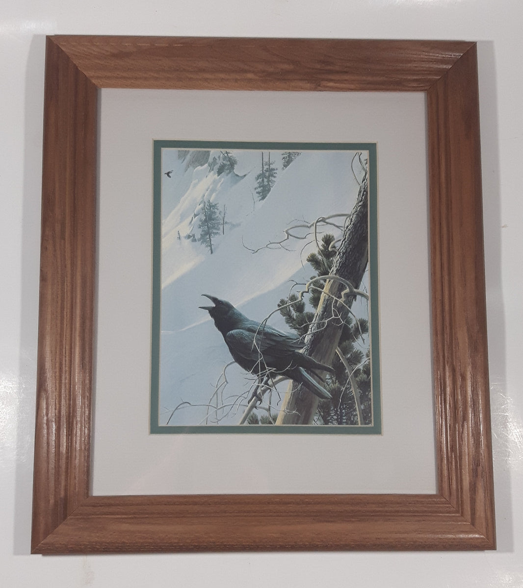 Robert Bateman "Raven Bird" Wildlife Art Print 12 1/2" x 14 1/2 ...